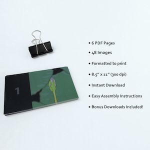 FLOWER Flipbook, DIY Flip Book, Animation, Printable Party Favors ...