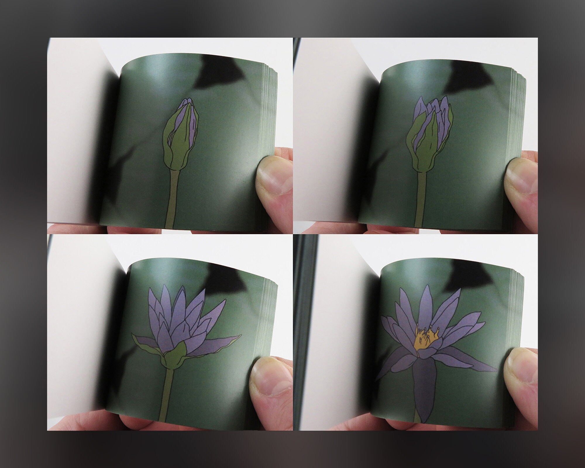 FLOWER Flipbook, DIY Flip Book, Animation, Printable Party Favors ...