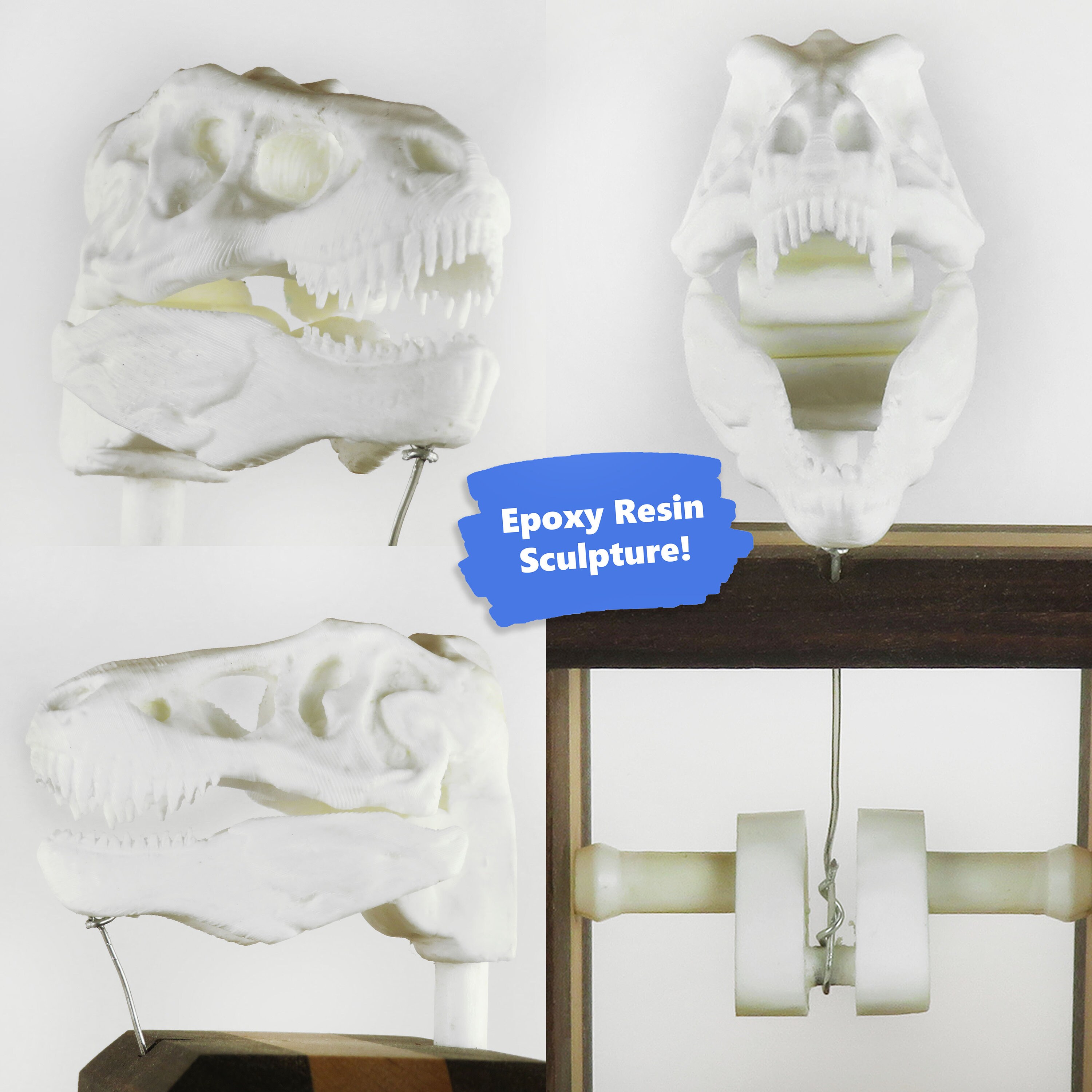 T-REX MOVING SCULPTURE Tyrannosaurus Rex Skull Moving Art - Etsy Canada