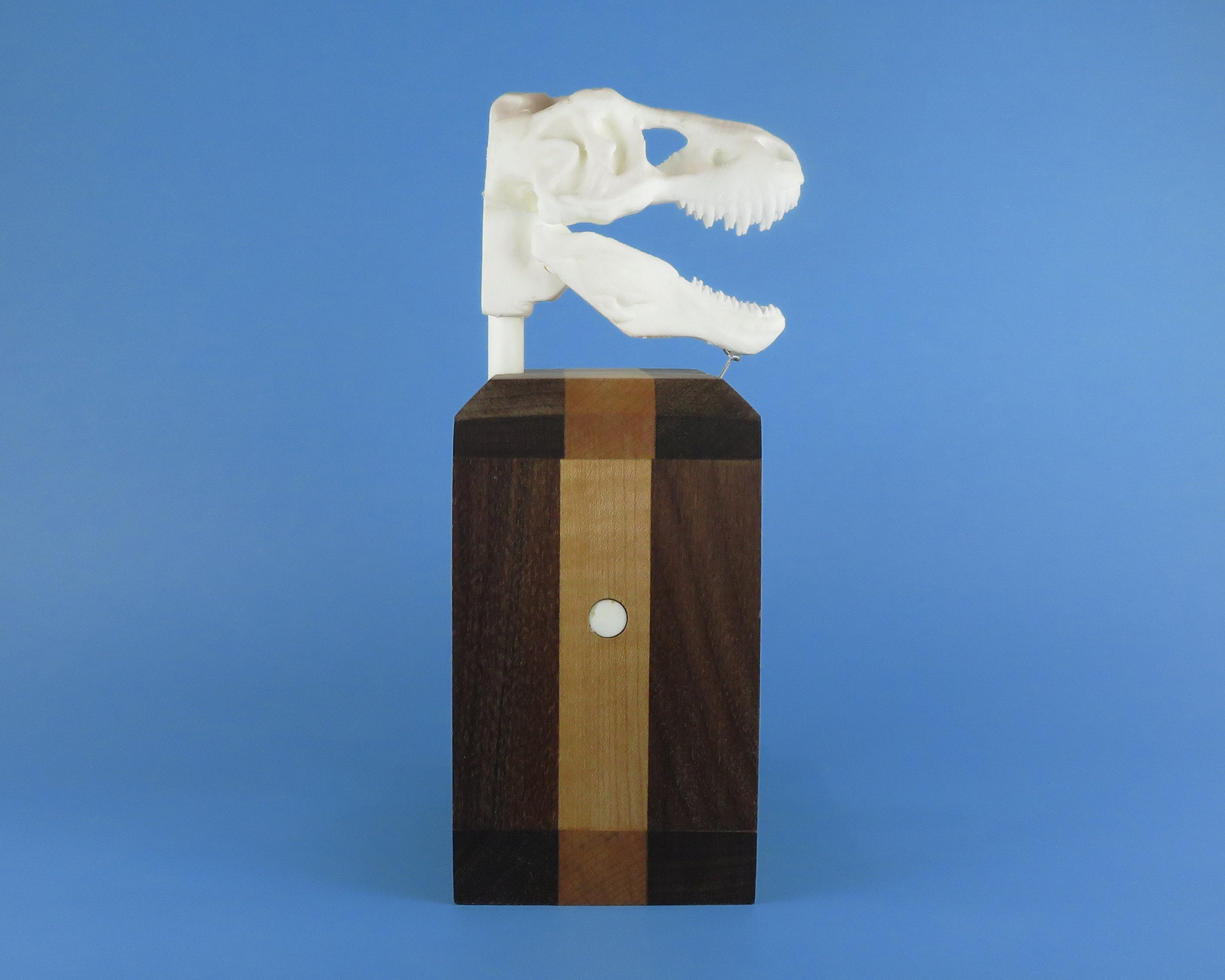 T-REX MOVING SCULPTURE, Tyrannosaurus Rex Skull, Moving Art Automata ...