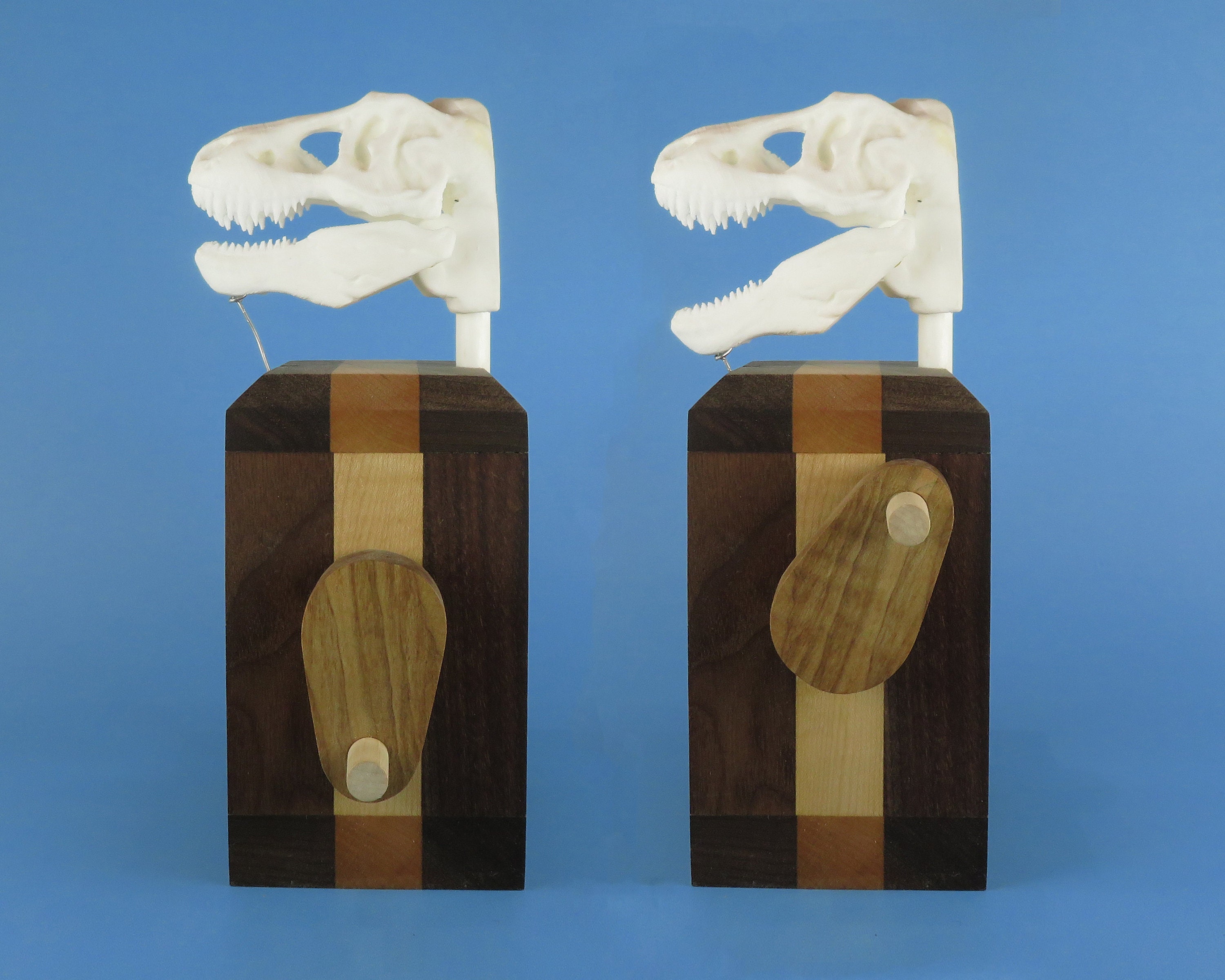 T-REX MOVING SCULPTURE, Tyrannosaurus Rex Skull, Moving Art Automata ...