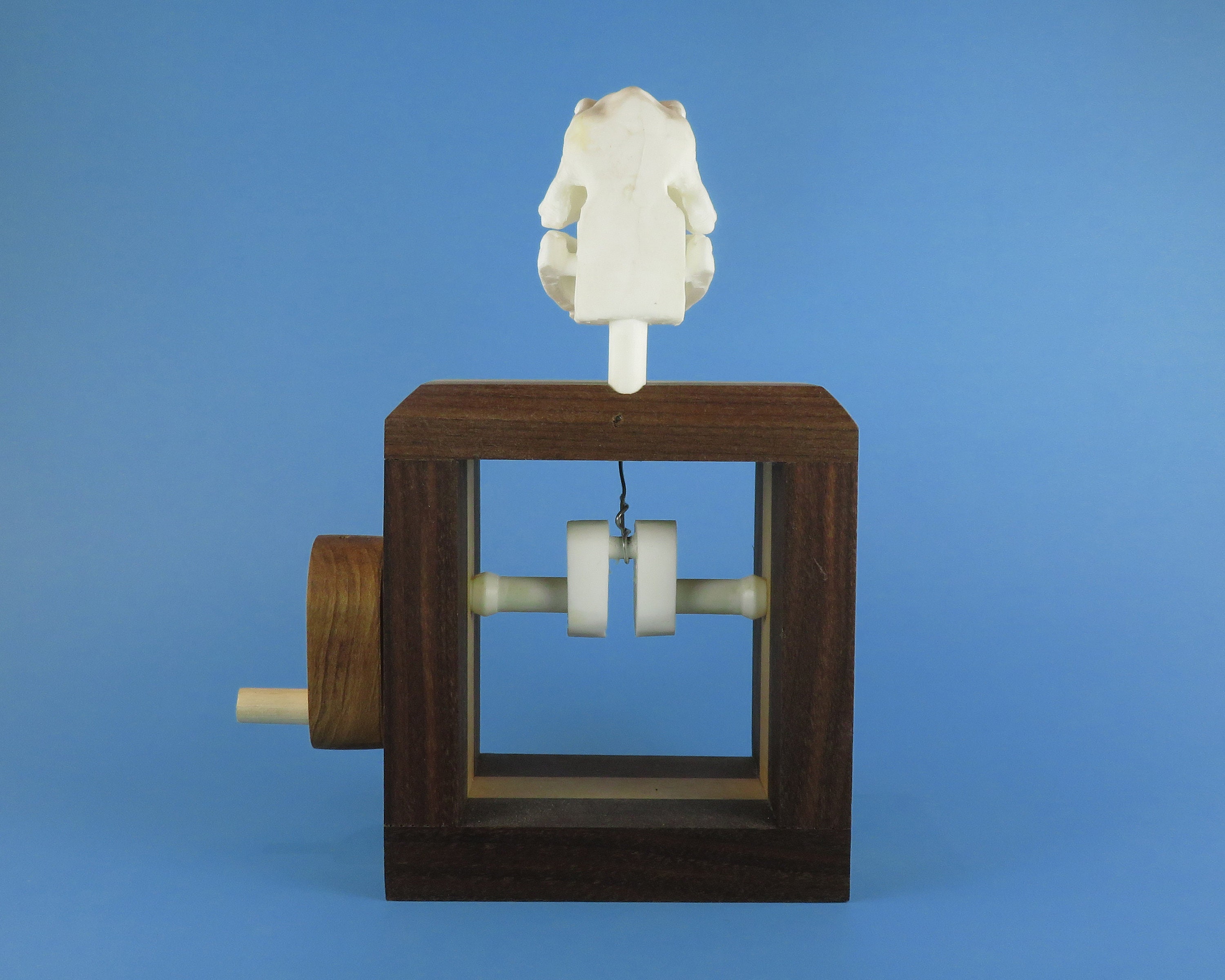 T-REX MOVING SCULPTURE, Tyrannosaurus Rex Skull, Moving Art Automata ...