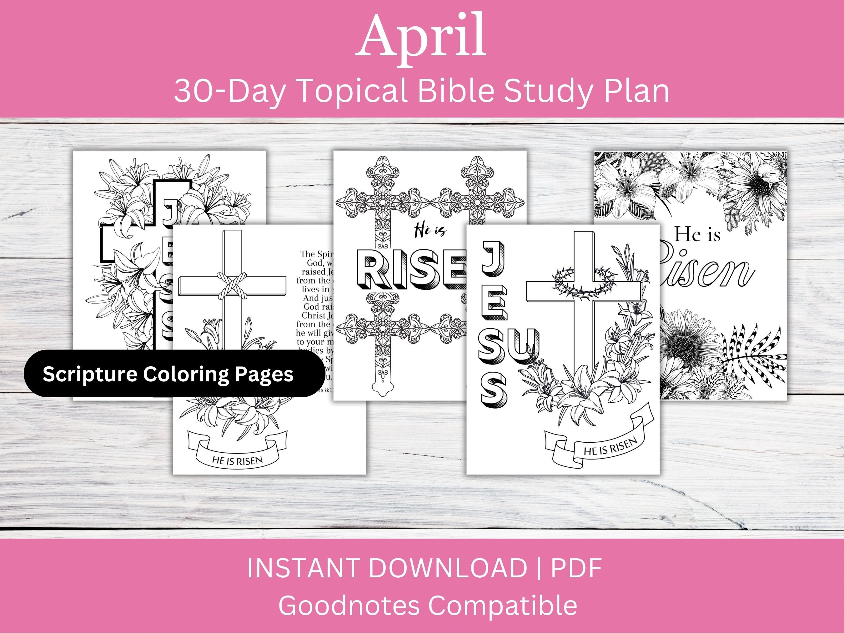 Bible Study Journal Bible Reading Plan Printable Digital Bible Study ...