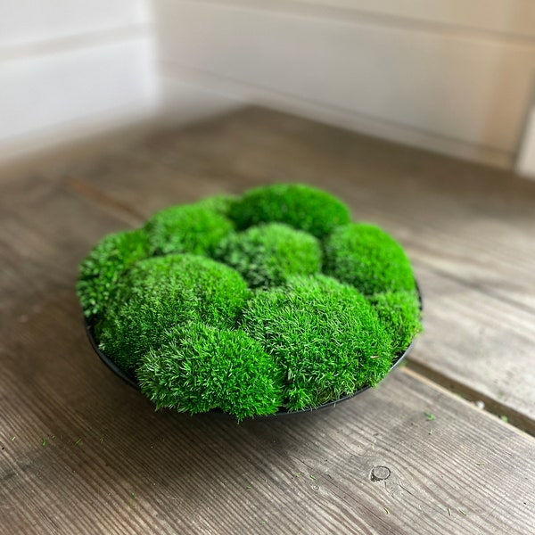 Moss - Etsy