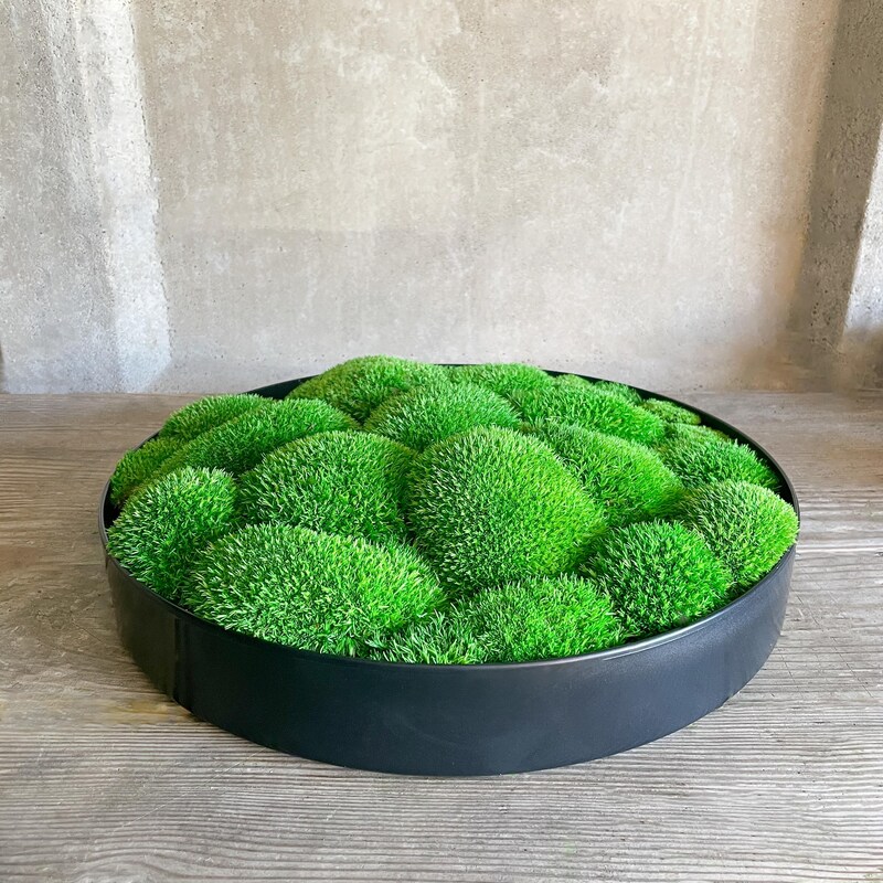 Moss Table Decor - Etsy