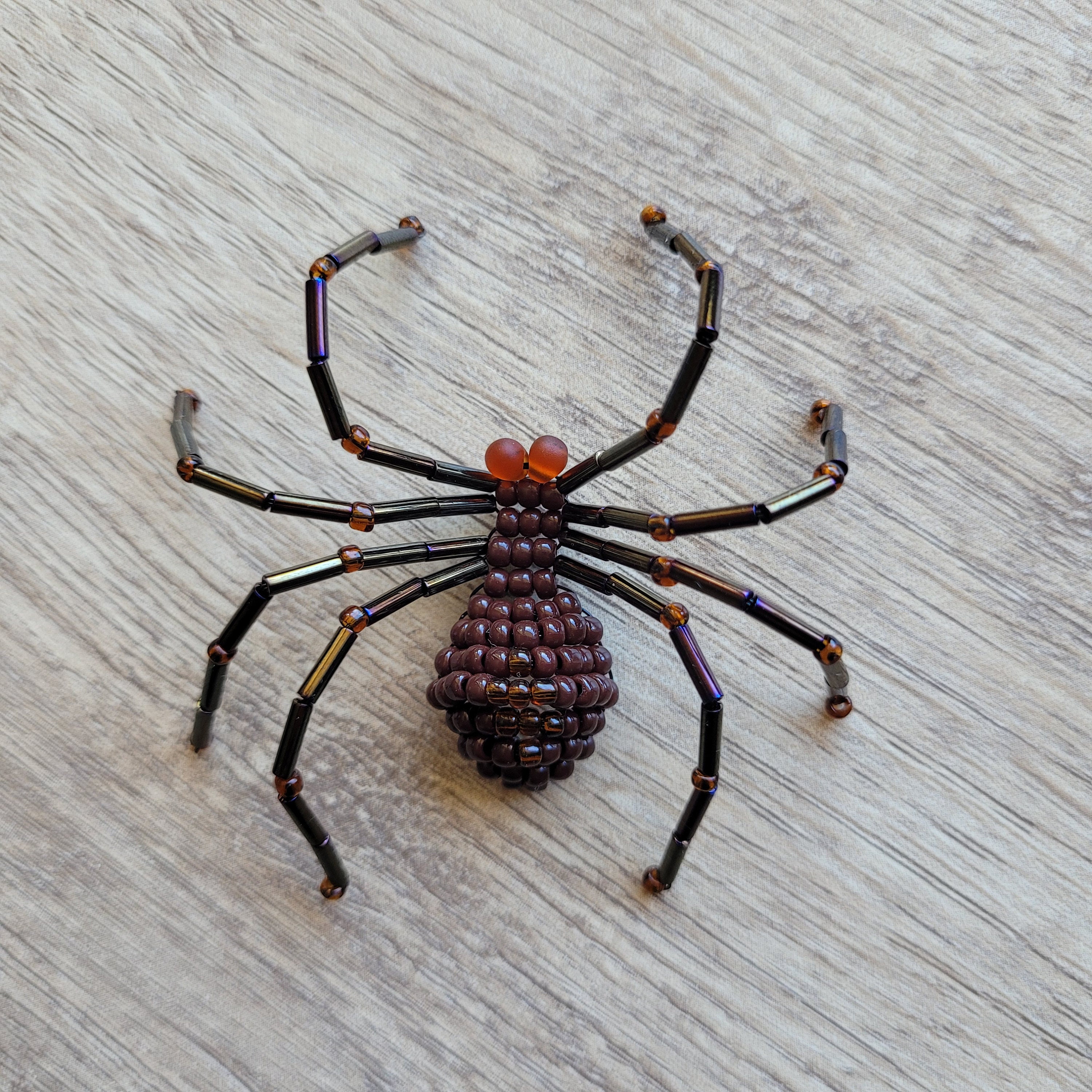 Cuccioli Di Ragno Cacciatore