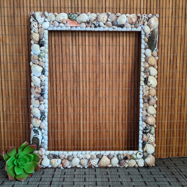 Seashell Frame - Etsy