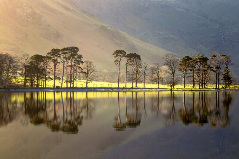 Buttermere Photo Print Buttermere Pine Trees Lake District Landscape ...