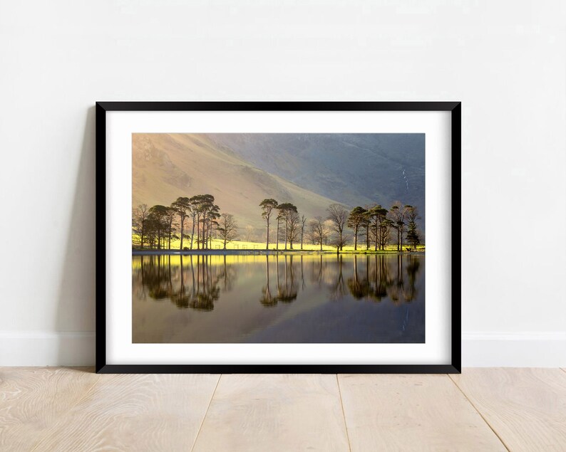 Buttermere Photo Print Buttermere Pine Trees Lake District Landscape ...