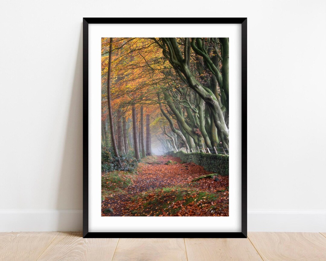 Upper Moor Moor Peak District Photographic Print - Etsy