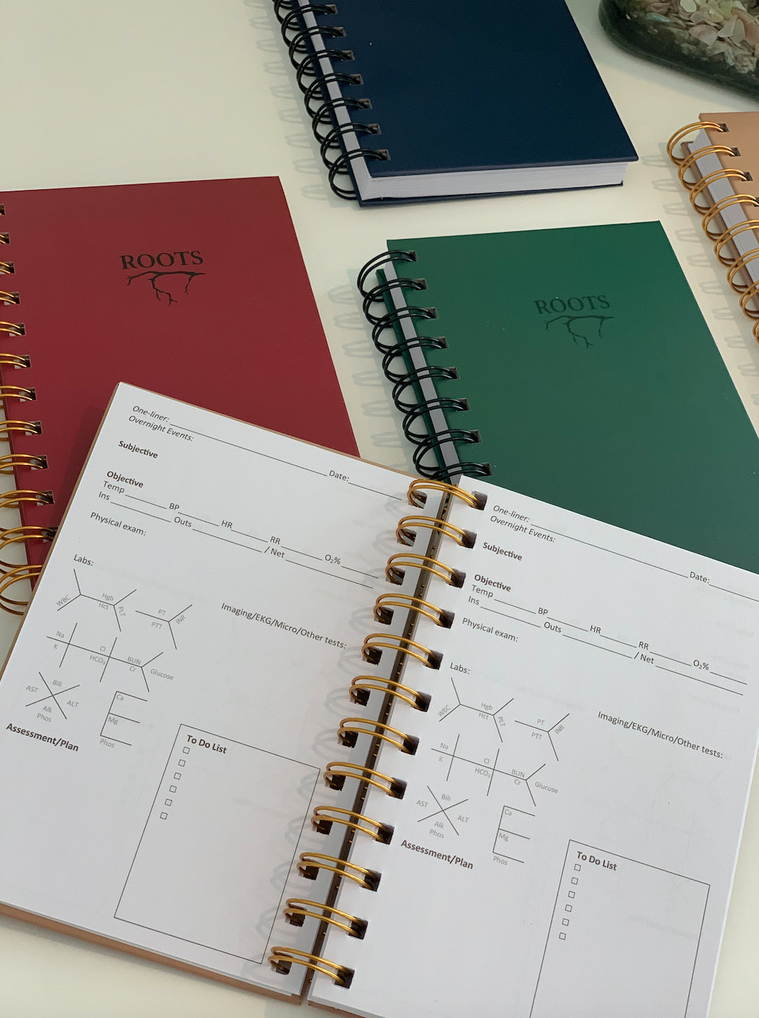 2 Medical History and Physical Pocket Notebook for Medical Students ...