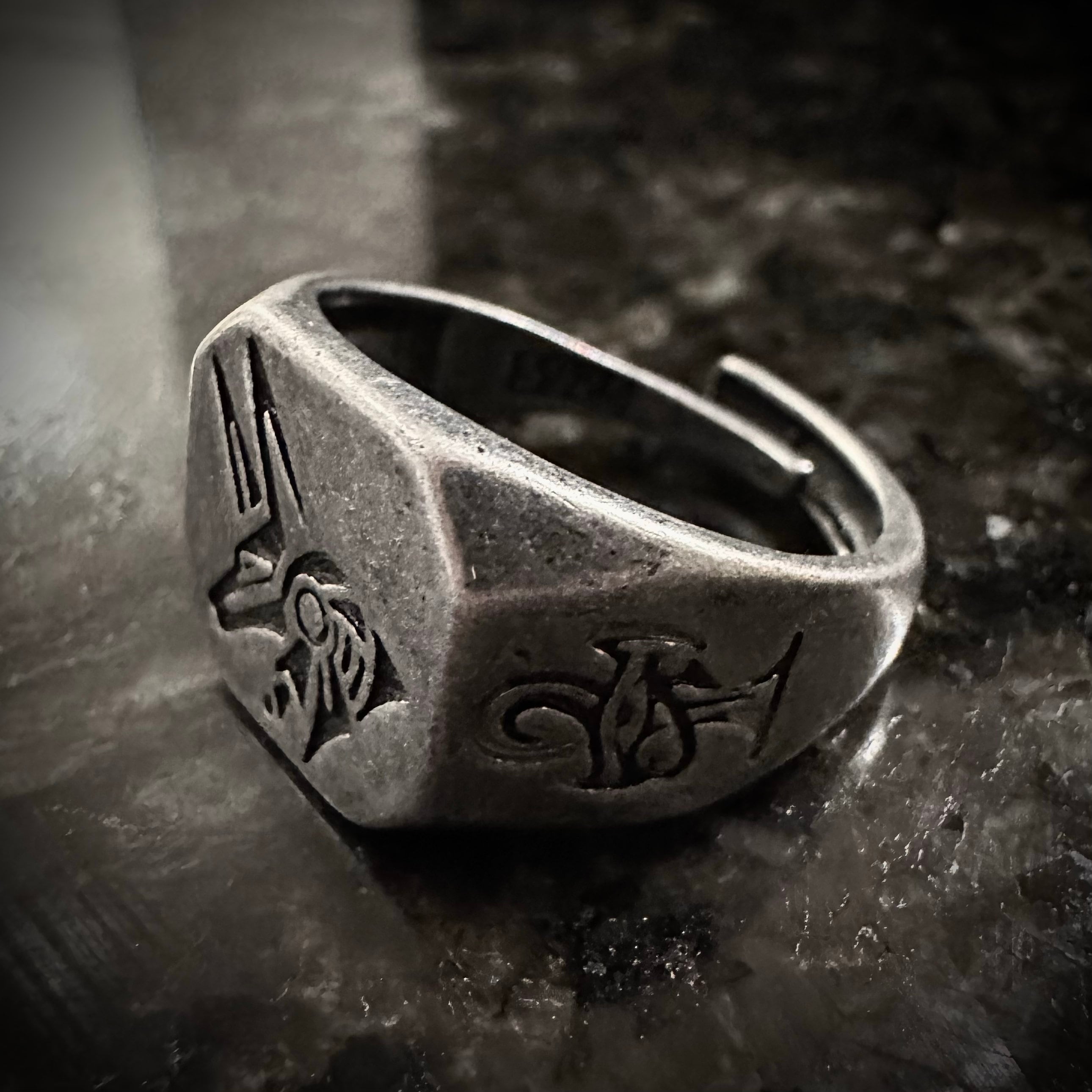 Egyptian Gods Horus and Anubis Rings, Silver Ring for Men, Vintage Punk ...