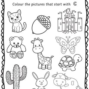 Beginning Sounds Book With 35 Worksheets - Colouring Pages RWI Set 1 ...