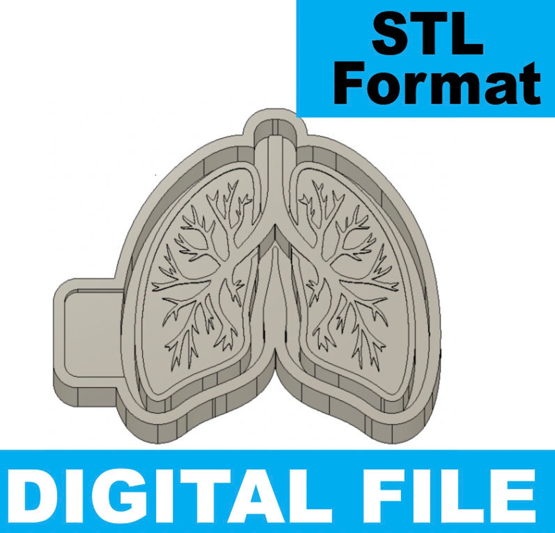 Lungs Freshie Blank for Molding 3D Printer File STL - Etsy