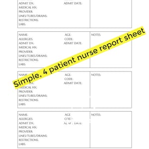 Long Term Care Nurse Report Sheet - Etsy