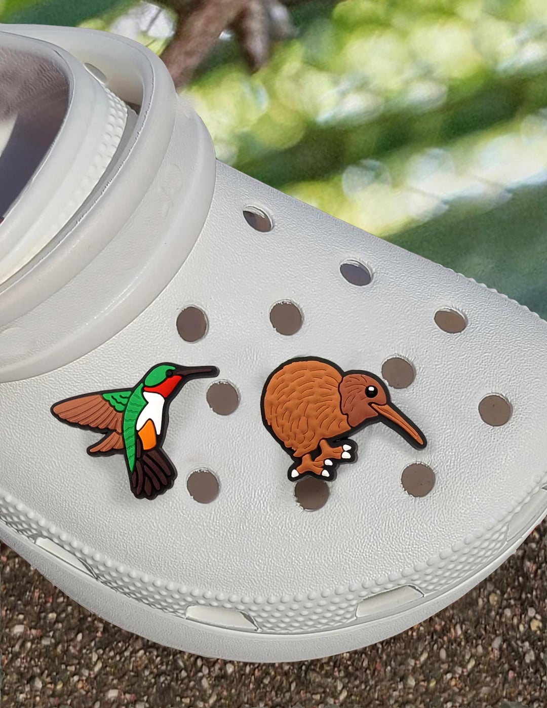Kiwi Bird Hummingbird Shoes Pin Wildlife Birds Shoe Pins New Zealand ...