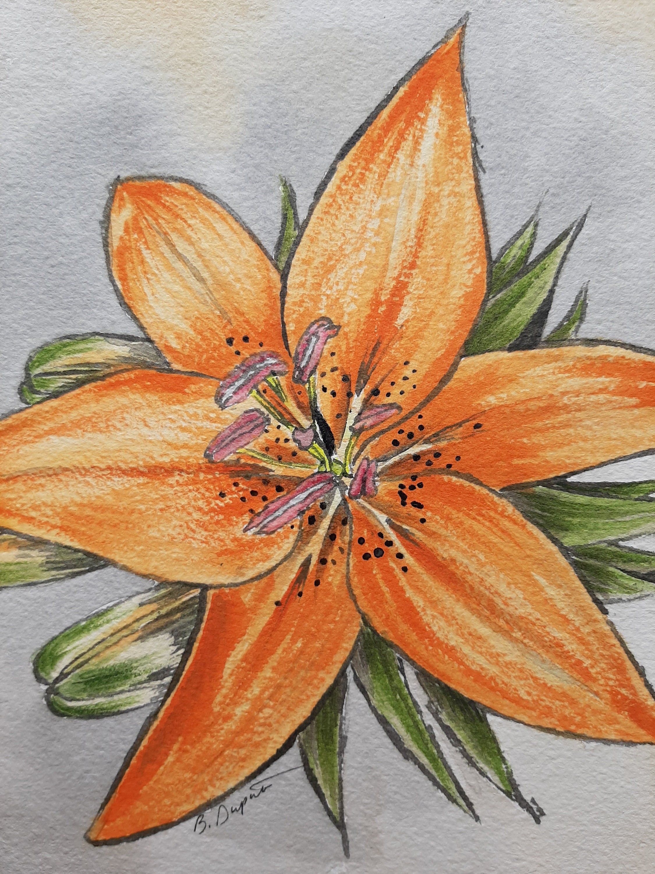Original Wall Art Painting Orange Lily Line & Wash - Etsy