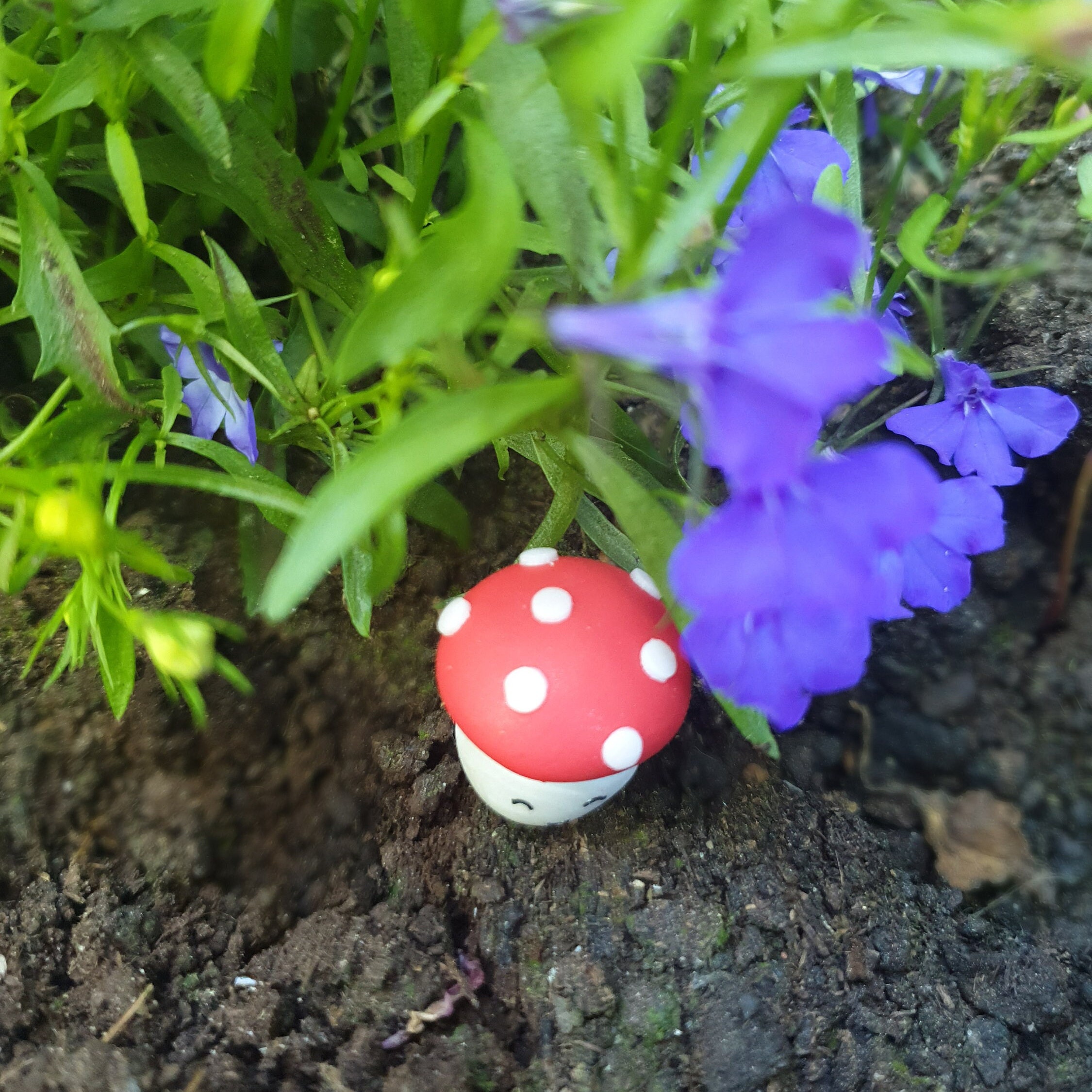 Red Fly Mushroom Plant Pot Decoration for Home Garden Plant - Etsy