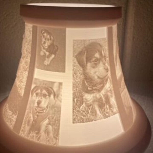 Custom Lamp Shade - Etsy