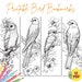 Printable Birds Coloring Bookmarks for Kids and Adults, Flowers, Bird ...