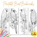 Printable Birds Coloring Bookmarks for Kids and Adults, Flowers, Bird ...