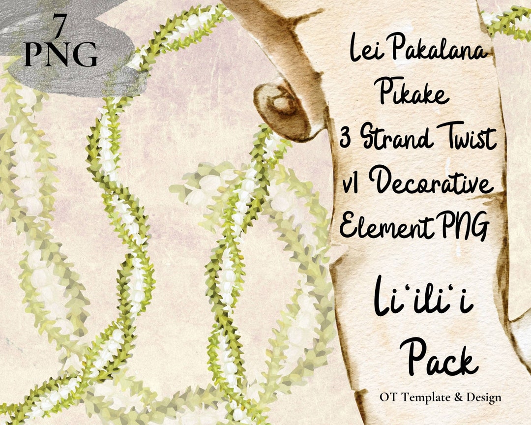 Pakalana Pikake 3 Strand Twist Lei, Hawaii Flower PNG Decorative ...