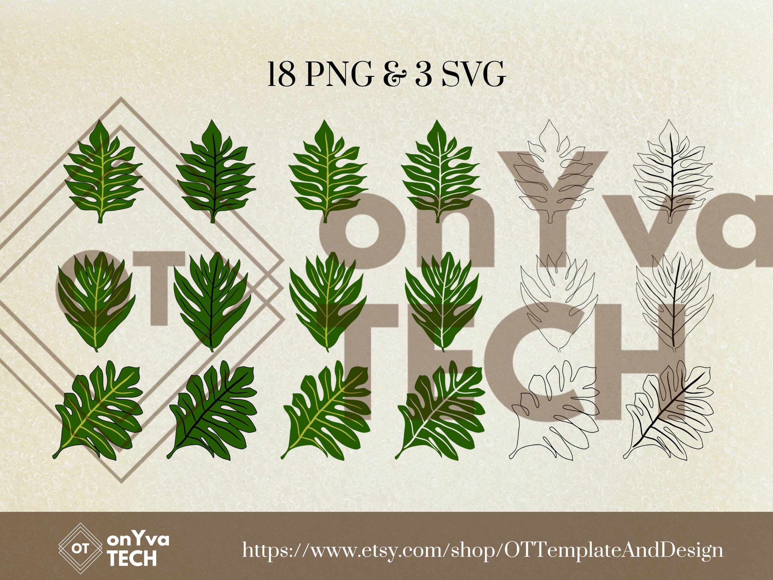 Ulu Breadfruit Leaf SVG Cut File, PNG Files, Digital Instant Download ...