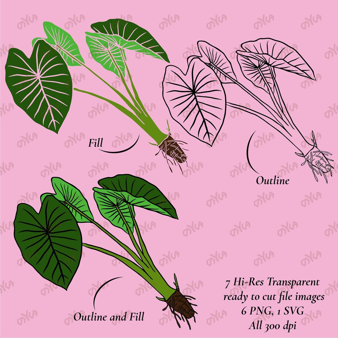 Kalo Plant SVG Cut File PNG Files Digital Instant Download - Etsy