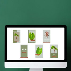 Taro Plant PNG Bundle, Hawaiian Kalo Clipart, Instant Download - Etsy