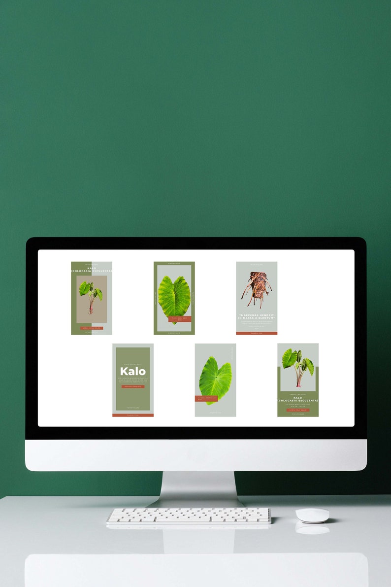 Taro Plant PNG Bundle, Hawaiian Kalo Clipart, Instant Download - Etsy