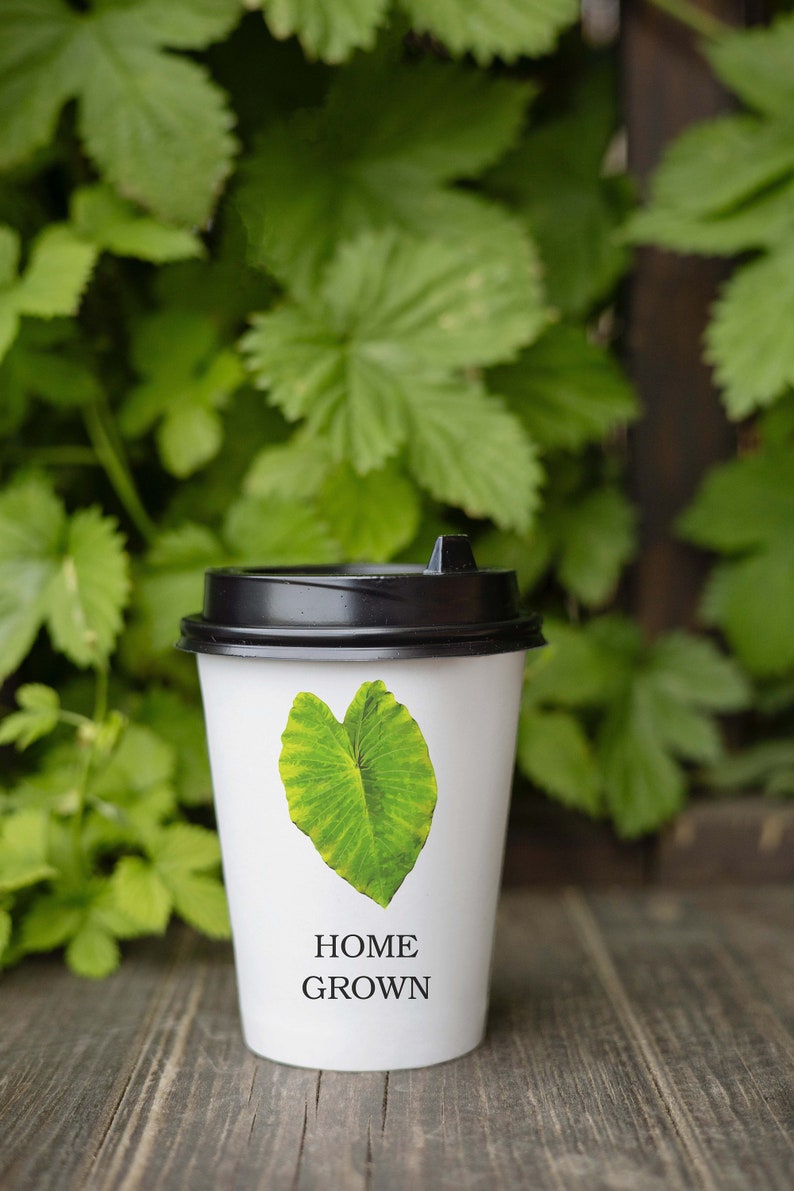 Taro Plant PNG Bundle, Hawaiian Kalo Clipart, Instant Download - Etsy ...