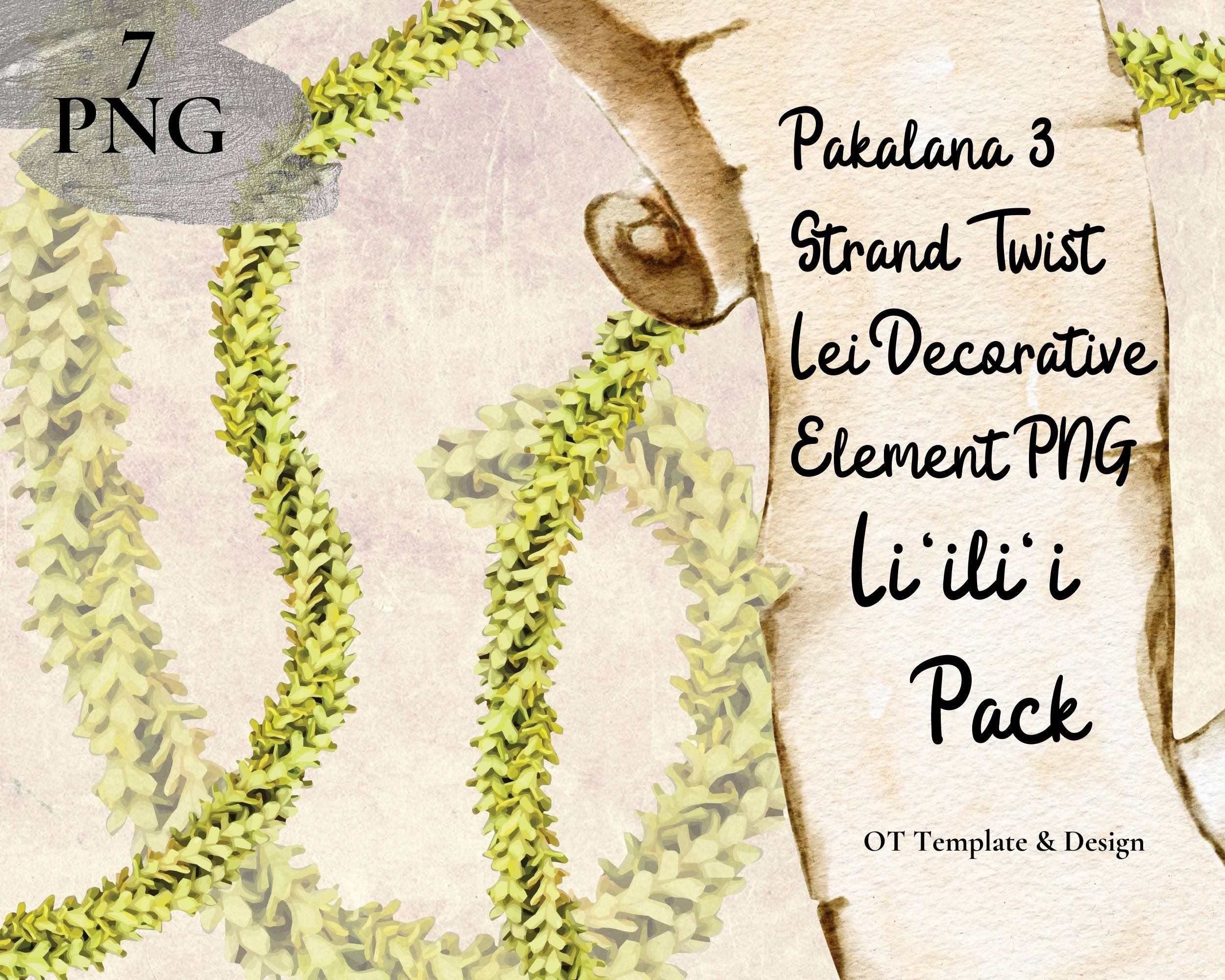 Pakalana 3 Strand Twist Lei PNG Decorative Element Liilii Pack Hawaiian ...