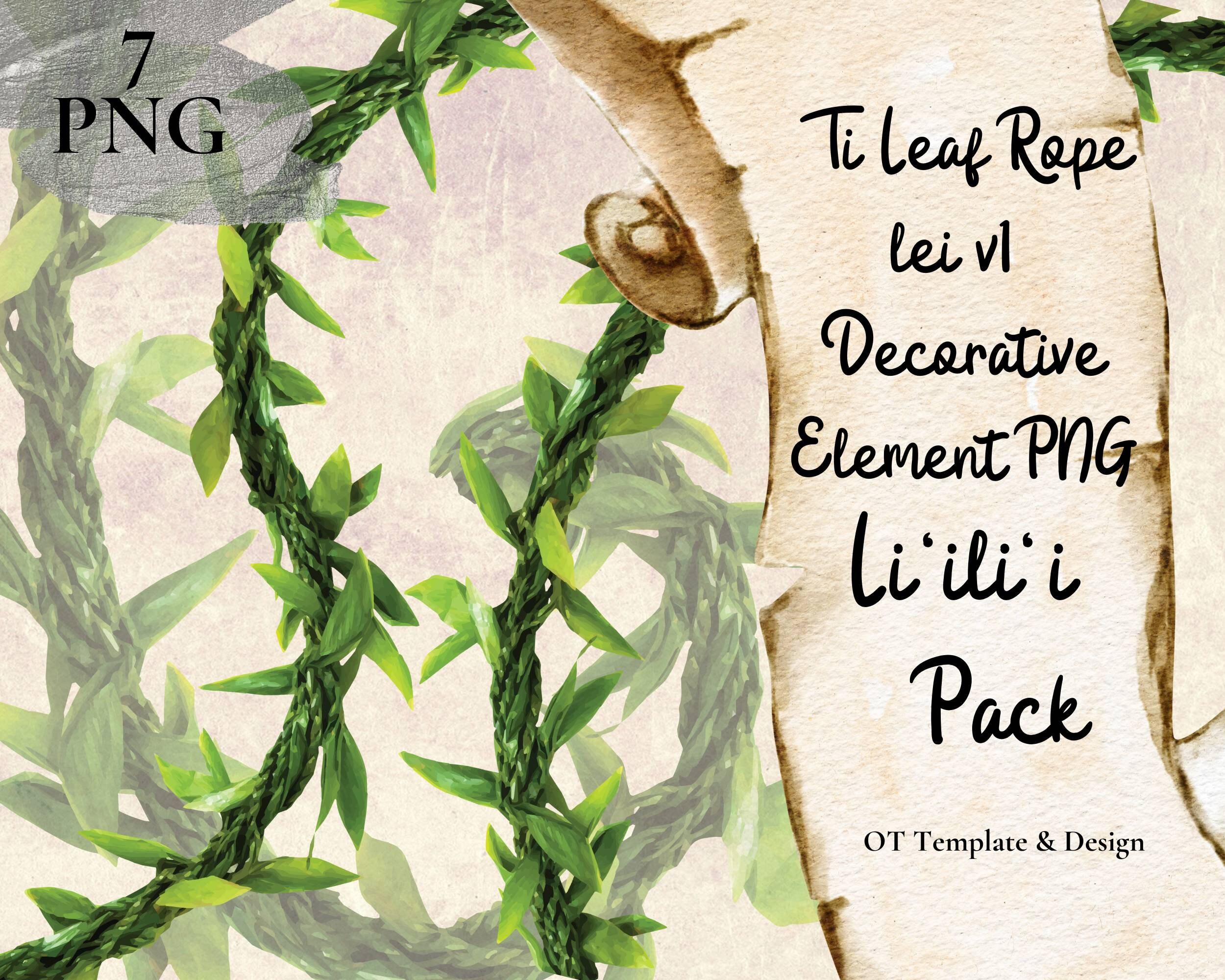 Ti Leaf Rope Lei, Hawaii Flower PNG Decorative Element, Floral ...
