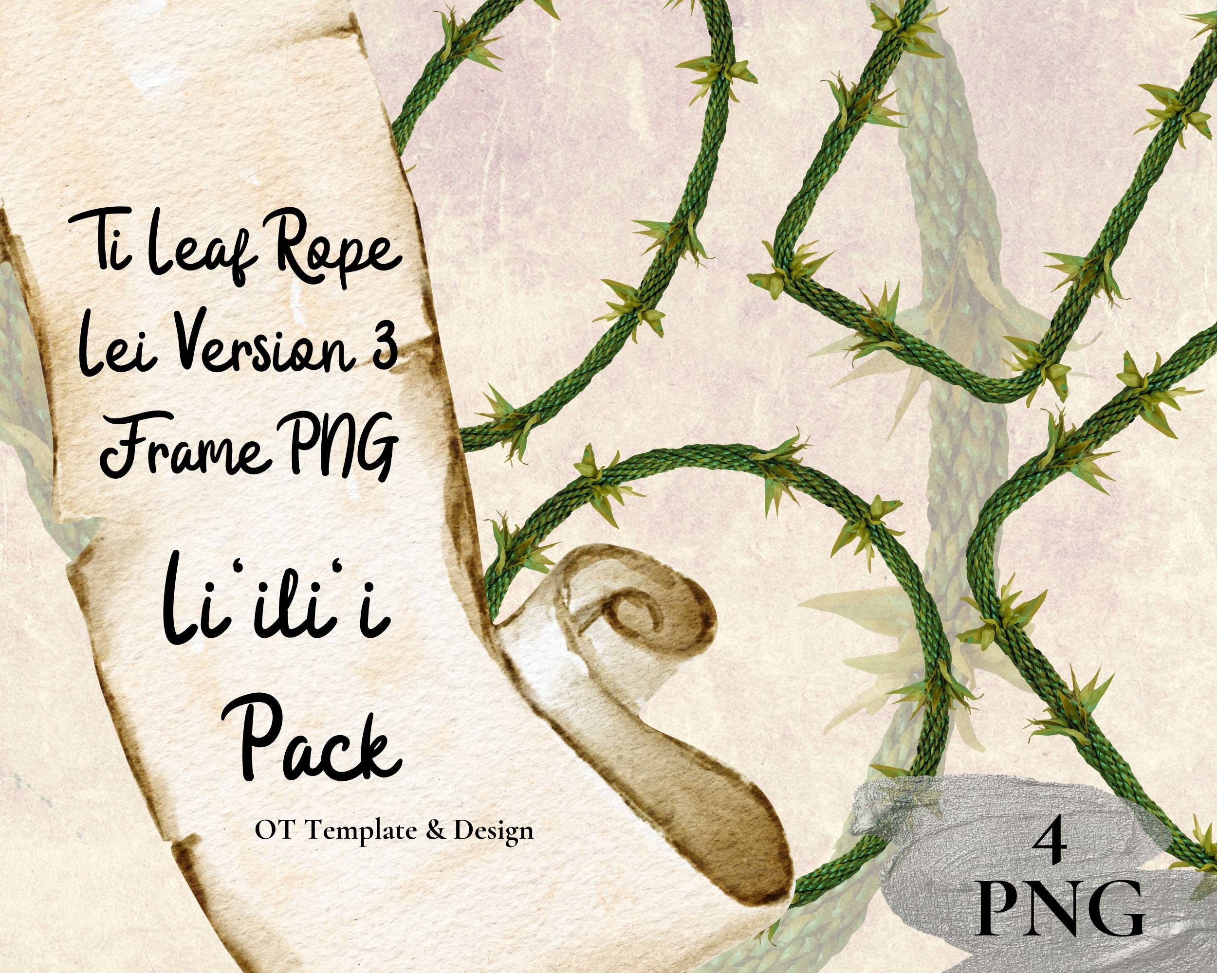Ti Leaf Rope Lei Frame PNG V3 Liilii Pack Hawaiian Flower Border ...