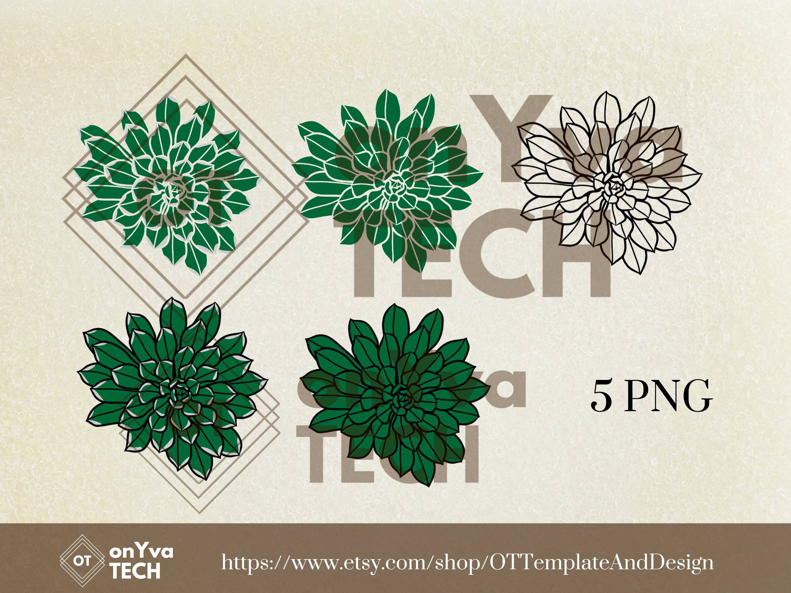 Hinahina Leaf Rosette SVG Cut File Beach Heliotrope Plant PNG Clipart ...