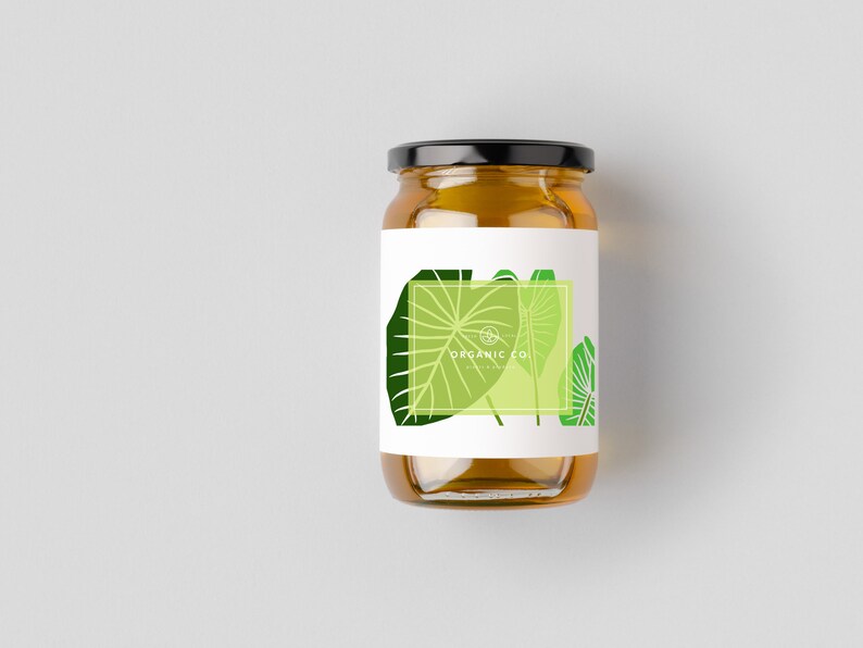 Kalo Plant SVG Cut File PNG Files Digital Instant Download - Etsy