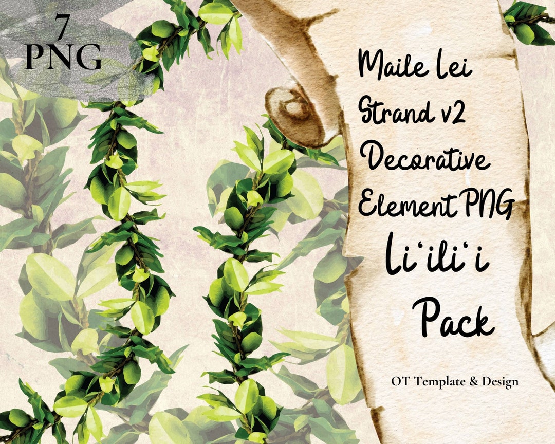 Maile Lei Strand V2 PNG Decorative Element Liilii Pack Hawaiian Lei ...