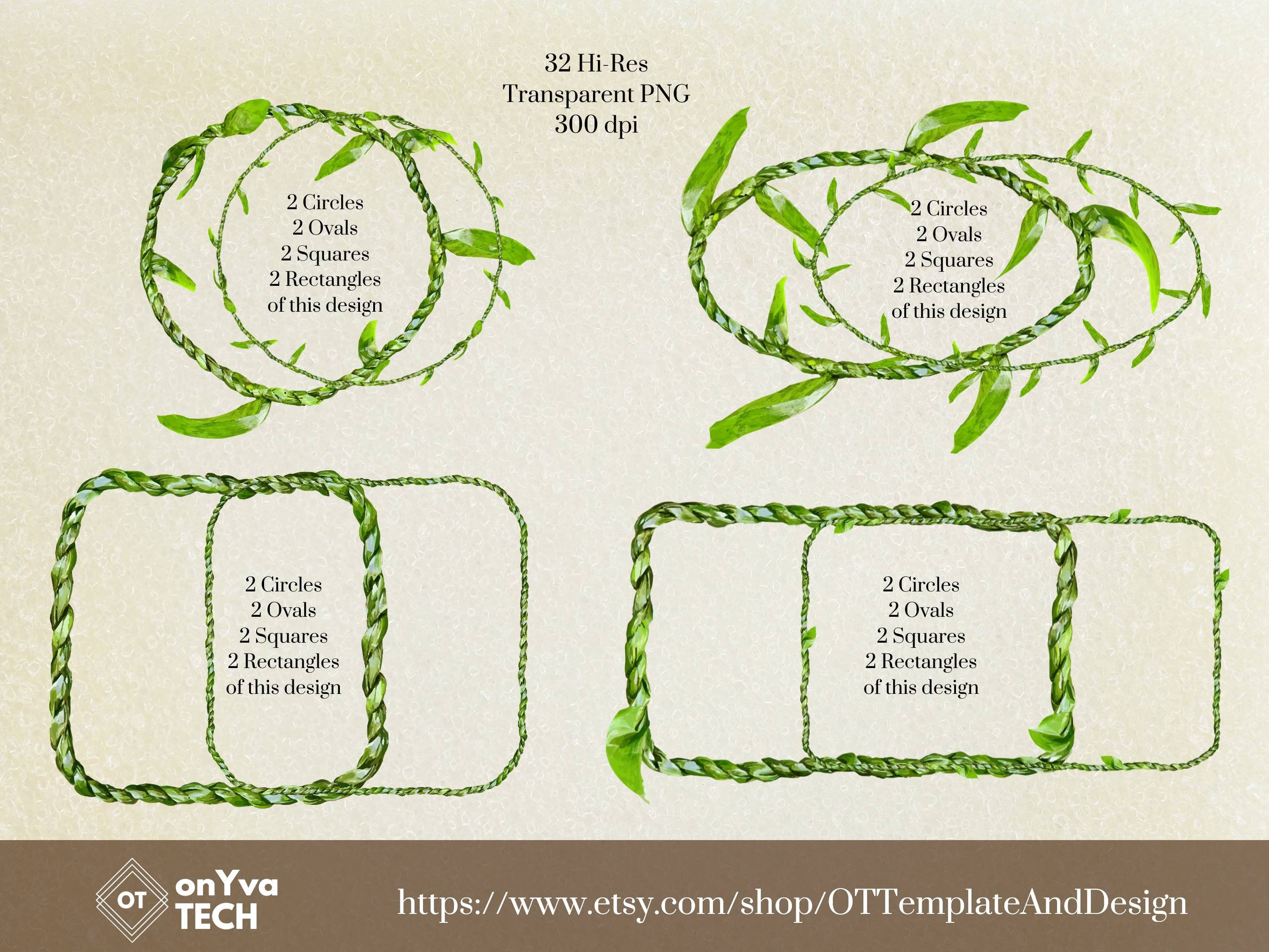 Ti Leaf Lei PNG Frame Bundle, Hawaiian Decoration, Oval, Square ...