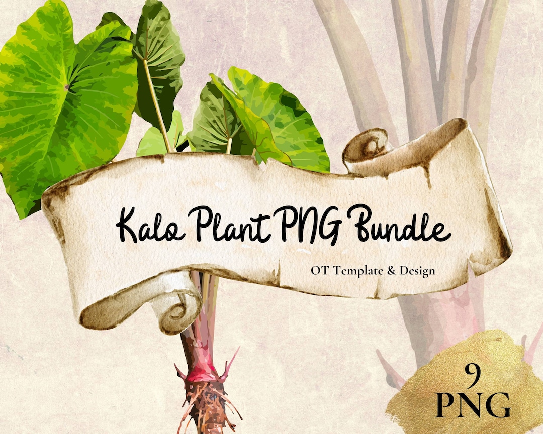 Taro Plant PNG Bundle, Hawaiian Kalo Clipart, Instant Download - Etsy