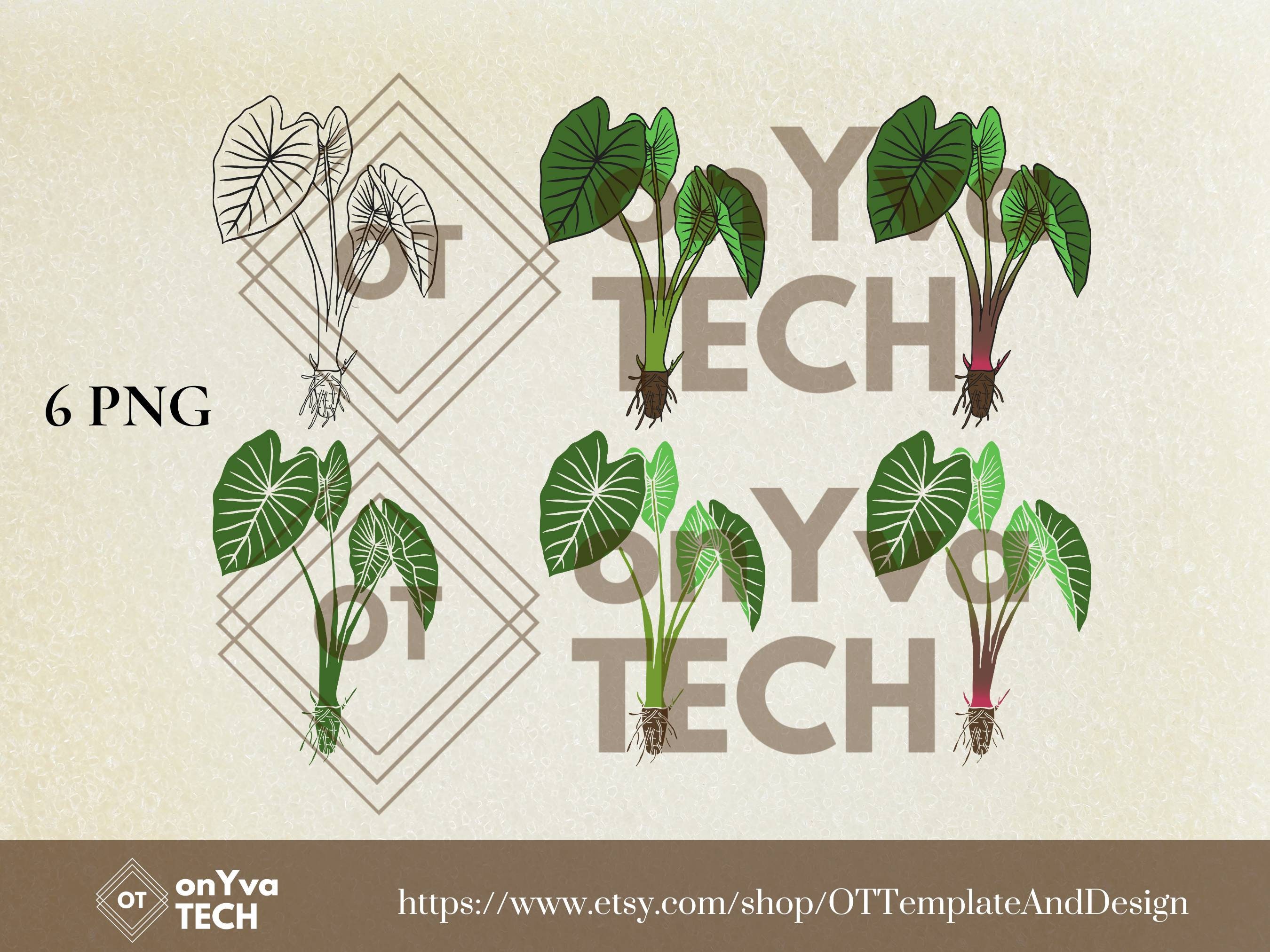 Kalo Plant SVG Cut File, PNG Files, Digital Instant Download - Etsy