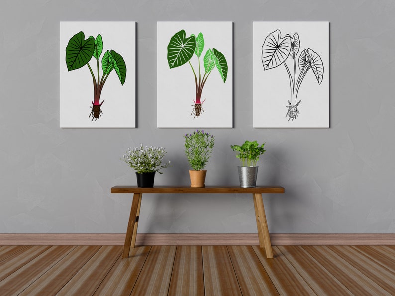 Kalo Plant SVG Cut File PNG Files Digital Instant Download - Etsy Israel