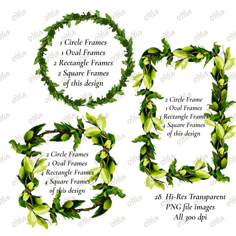 Maile Lei Hawaiian Flower Frame PNG Bundle Digital Download - Etsy