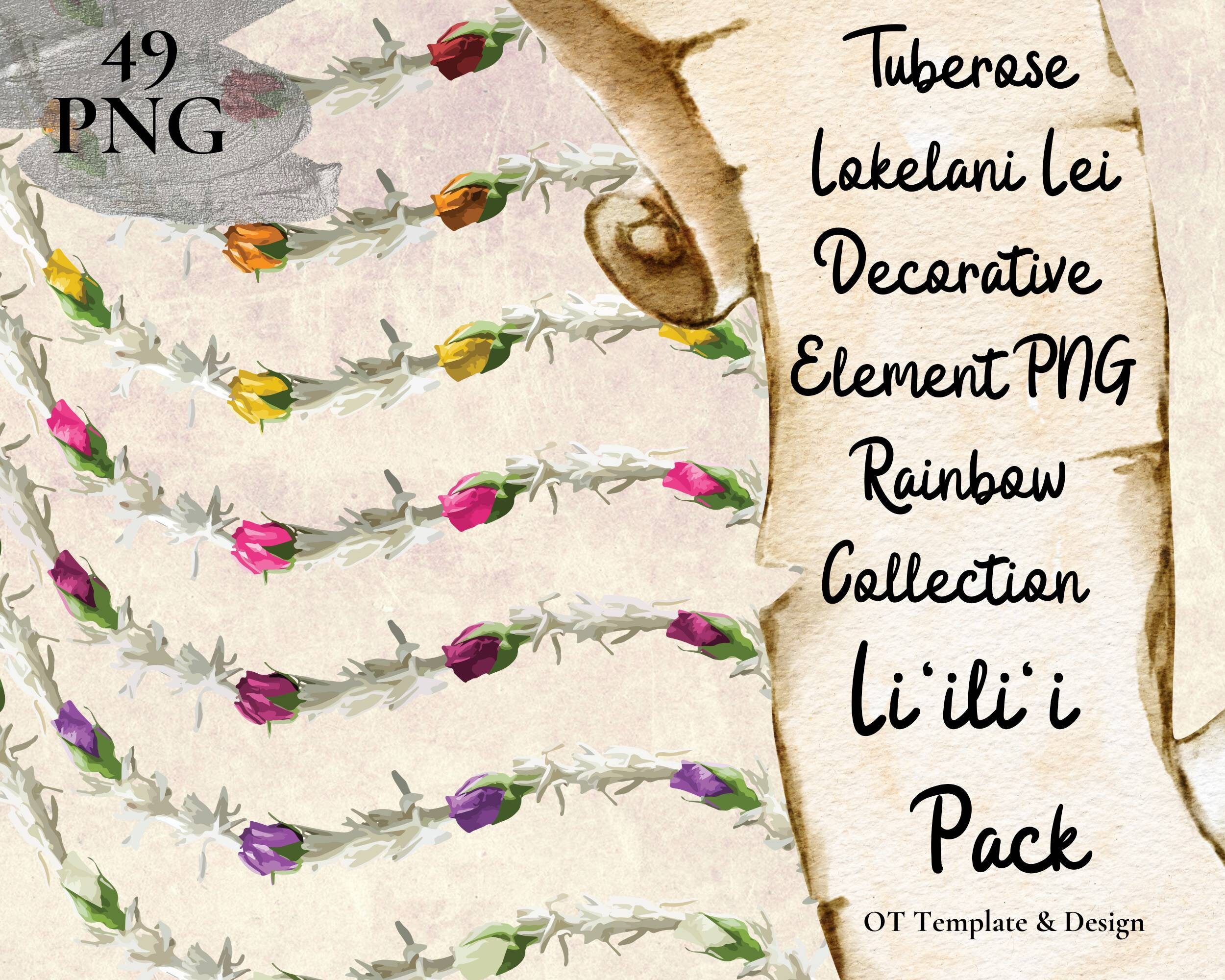 Tuberose Lokelani Lei, Rainbow Hawaii Flower PNG Decorative Element ...