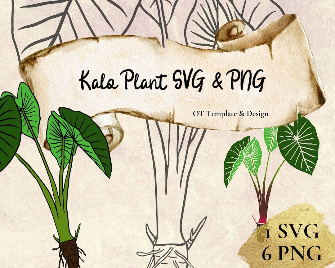 Kalo Plant SVG Cut File, PNG Files, Digital Instant Download - Etsy