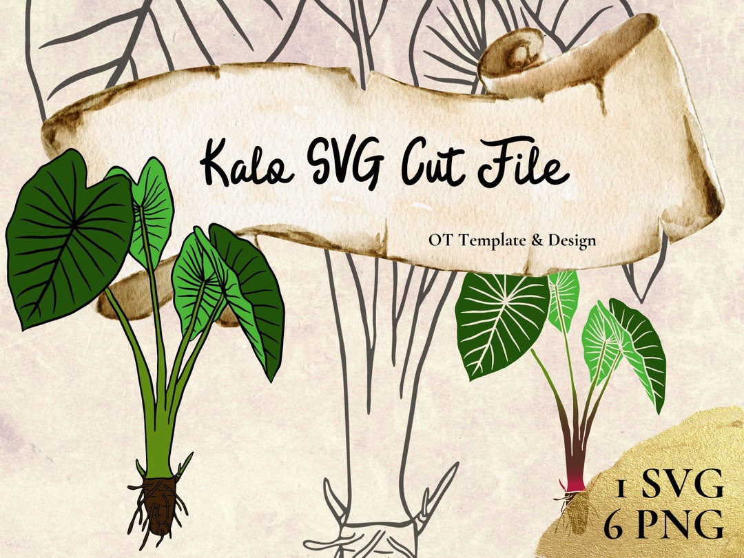 Kalo Plant SVG Cut File PNG Files Digital Instant Download - Etsy
