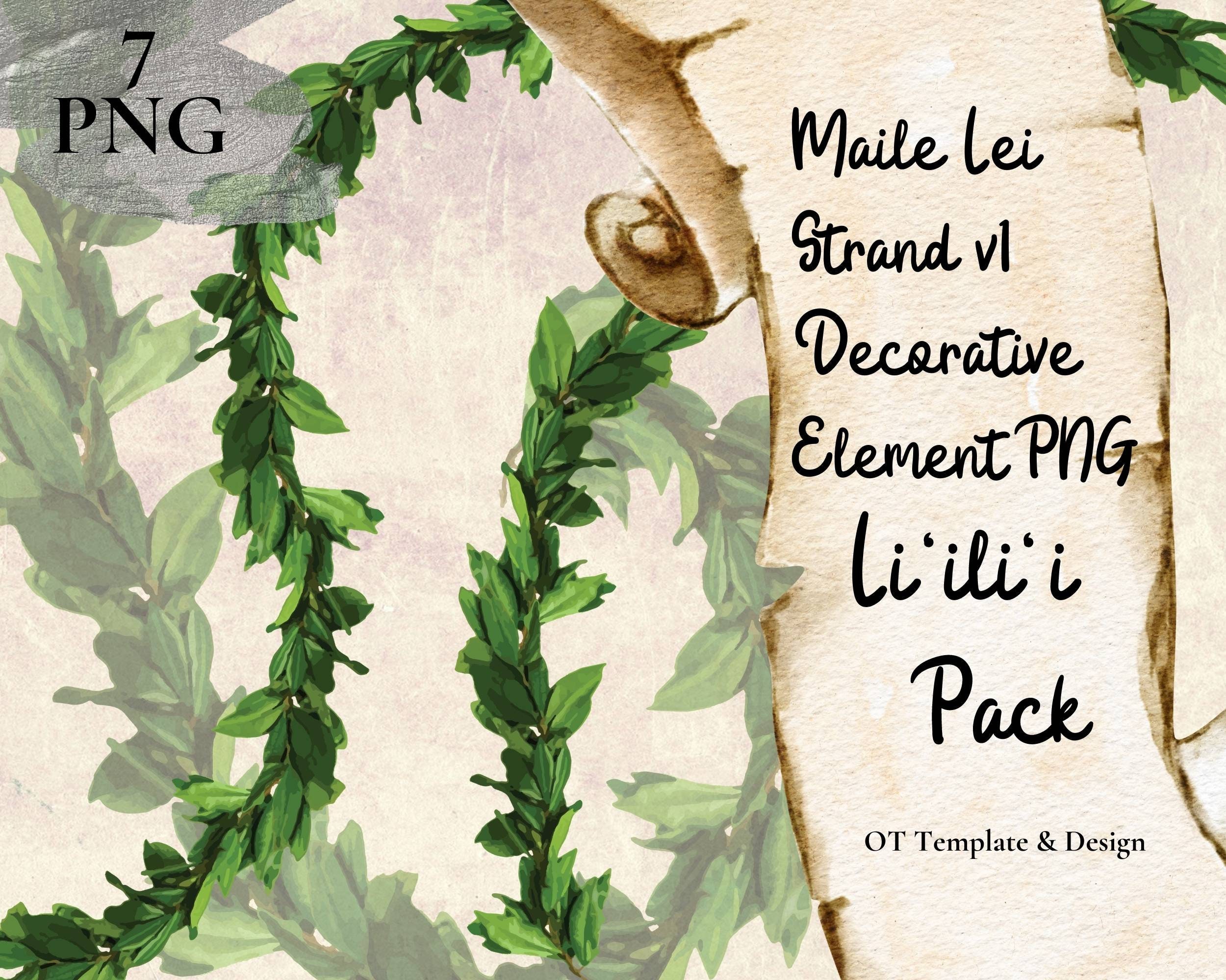 Maile Lei Strand V1 PNG Decorative Element Liilii Pack Hawaiian Lei ...
