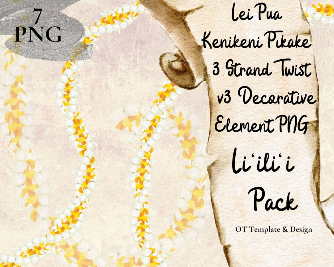 Puakenikeni Pikake 3 Strand Twist Lei, Hawaii Flower PNG Decorative ...