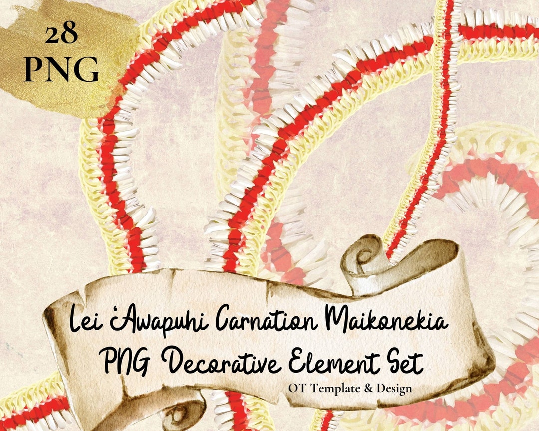 Micronesian Ginger Red Carnation Lei, Hawaiian Flower PNG Decorative ...