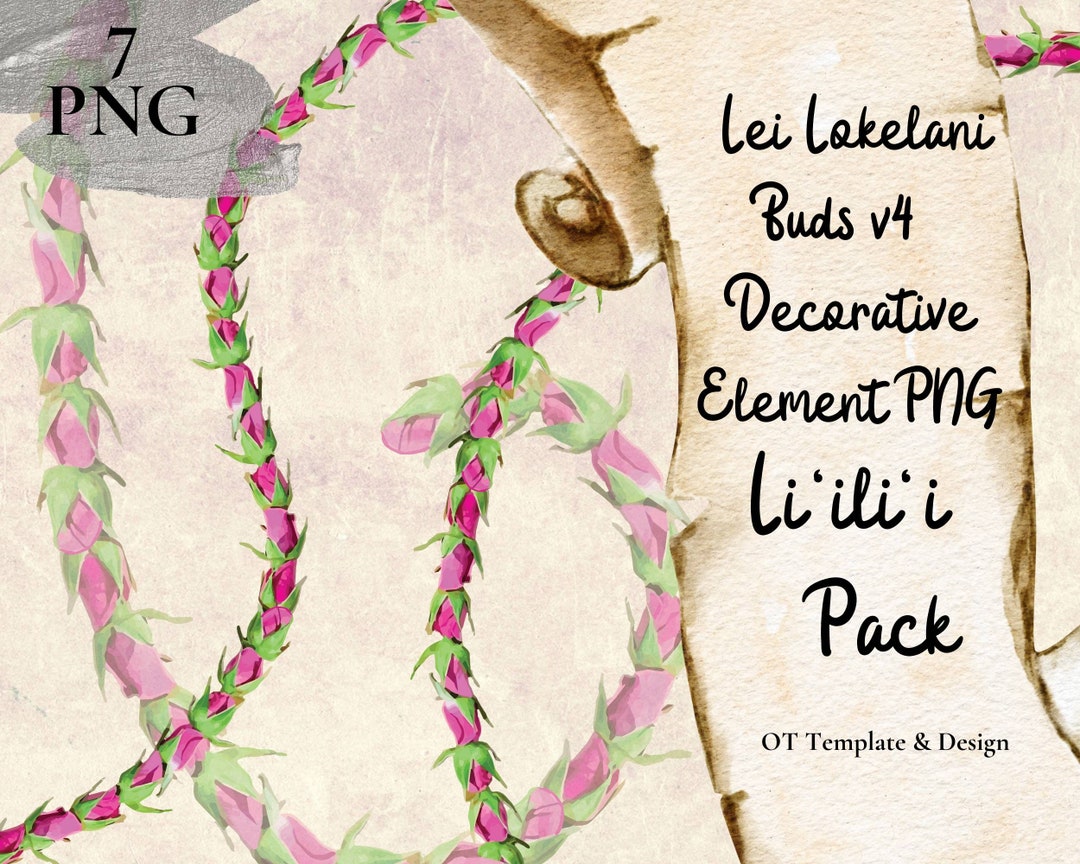 Lokelani Buds Lei, Hawaii Flower PNG Decorative Element, Floral ...