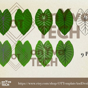 Kalo Leaf SVG Cut File, PNG Files, Digital Instant Download - Etsy